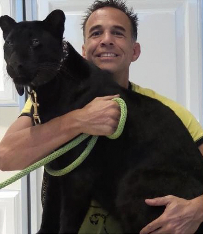 Homem paga para ter ‘experiência completa’ com pantera e termina ...